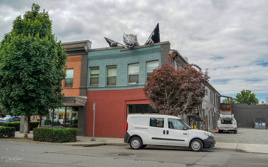 Just Around the Corner: Renton's shiny dragon - My Lynnwood News