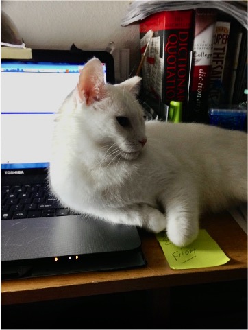 The Writer's Desk: How many drafts do I need? - Lynnwood Today