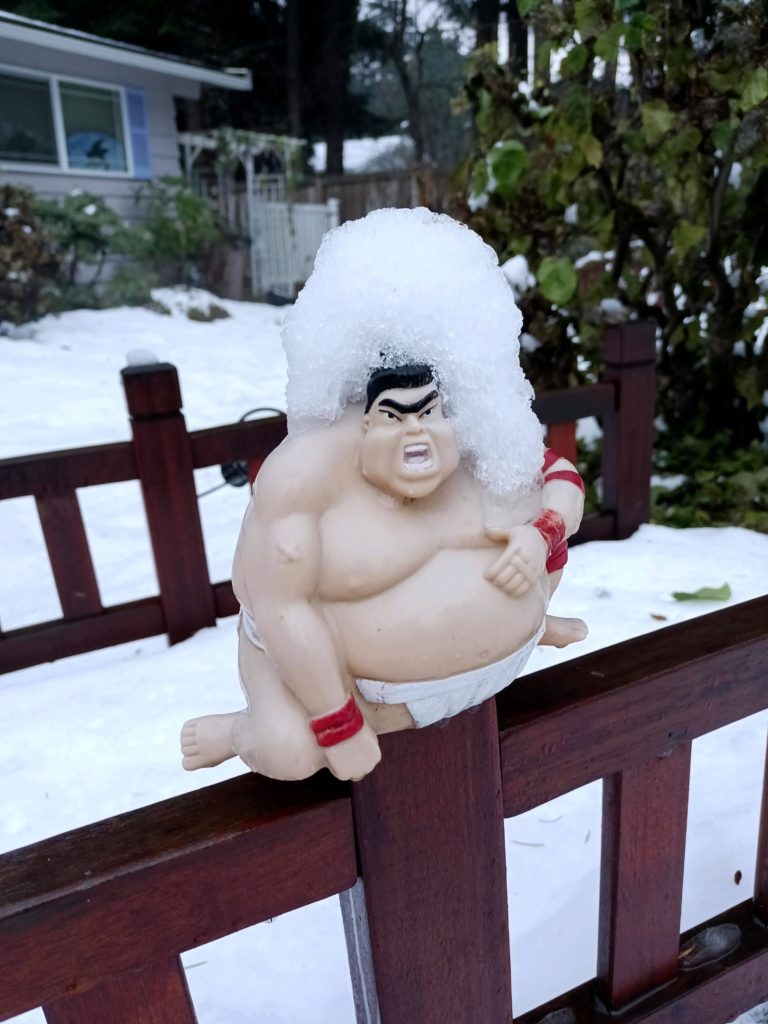 Scene in Lynnwood: Sumo in the snow - Lynnwood Today