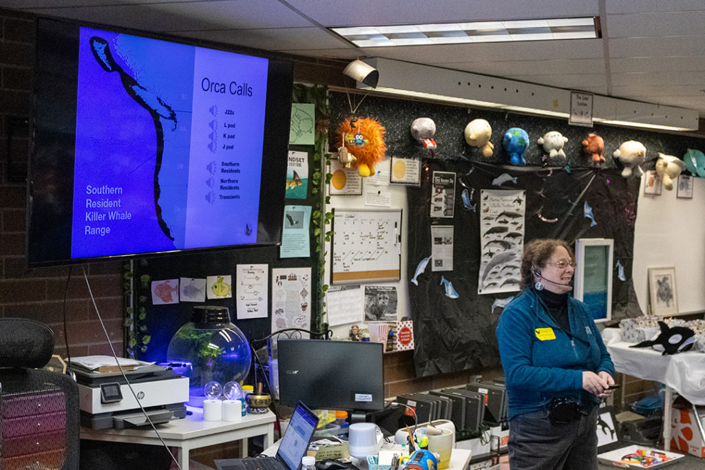 Hazelwood Elementary students celebrate Orca Recovery Day - Lynnwood Today