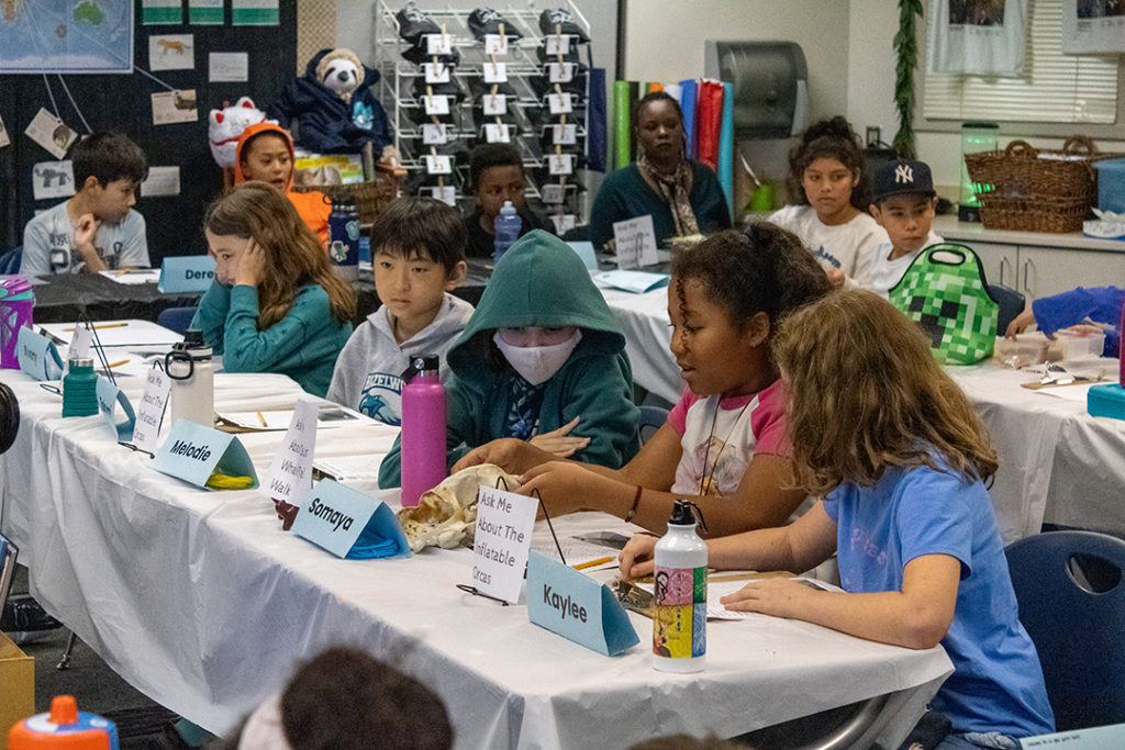 Hazelwood Elementary students celebrate Orca Recovery Day - Lynnwood Today