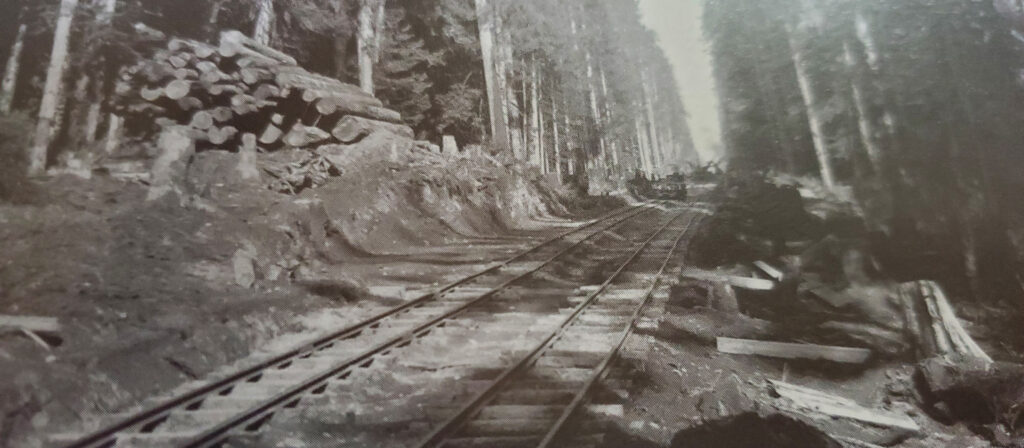 History: The Seattle-Everett Interurban Railway, 1910-1939 - Lynnwood Today