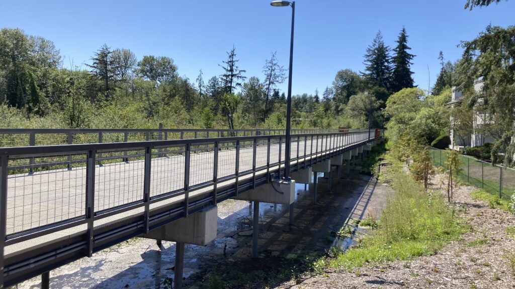 'All about accessibility': Officials celebrate completion of Scriber ...