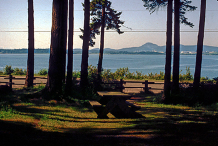 Mark your calendars for 2025 Discover Pass free days in WA state - My ...