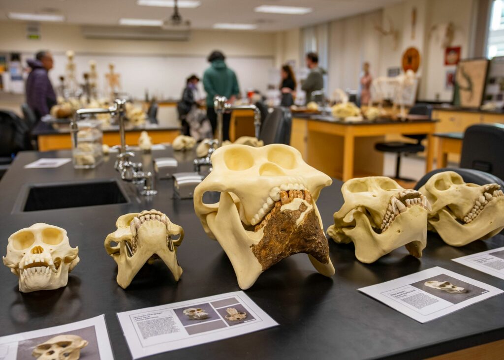 Public invited to explore human story during anthropology open house at ...