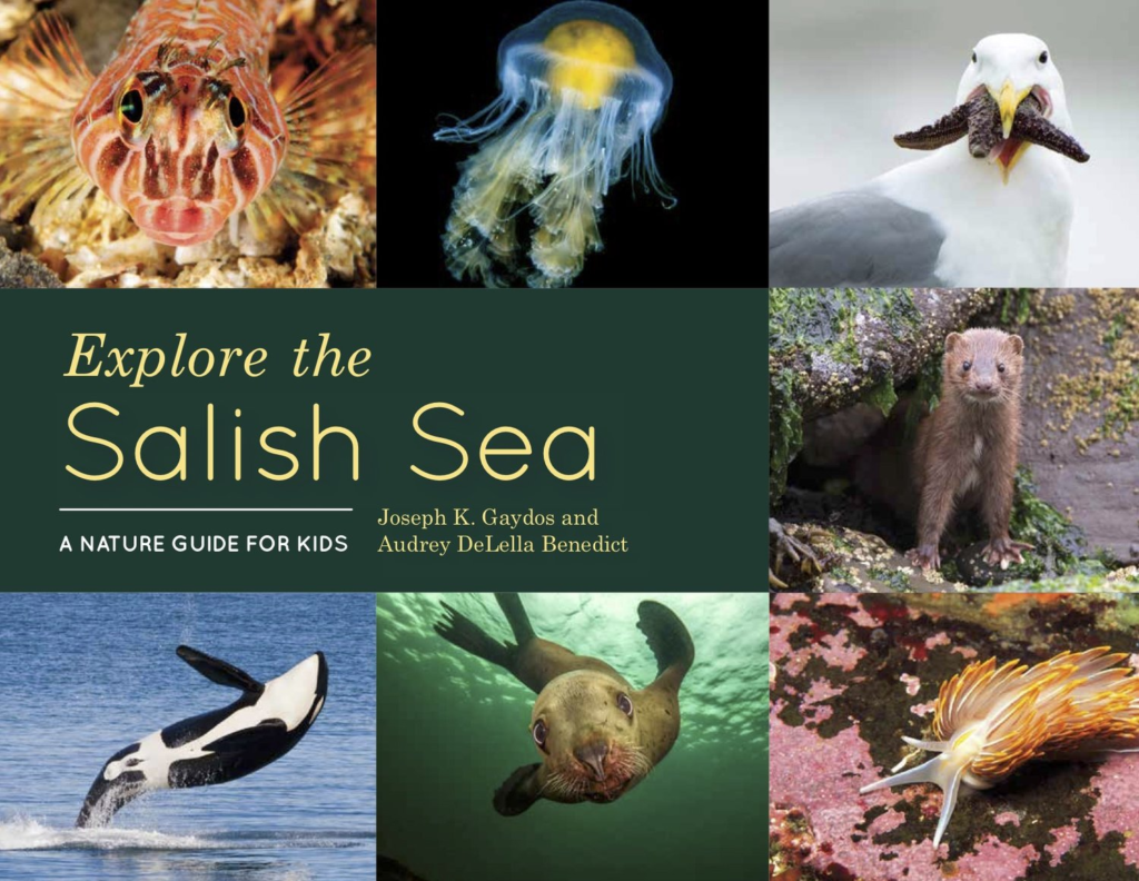 Kids are Bookin’ It: Spellbinding writing, amazing photos in 'Explore ...