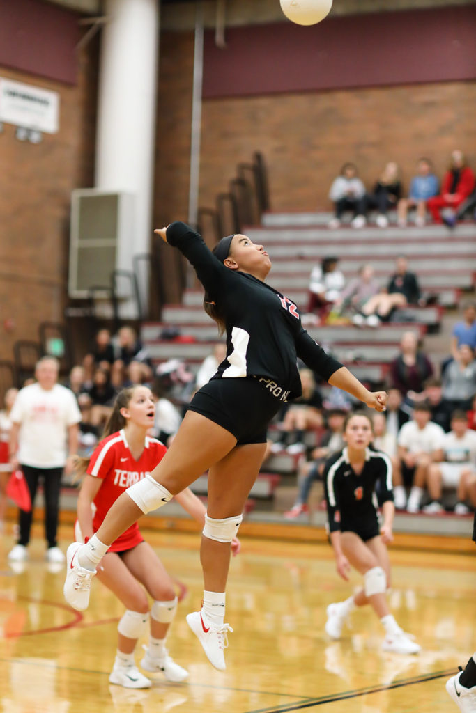 Hawks sports roundup: Volleyball, boys cross country, girls swim and ...