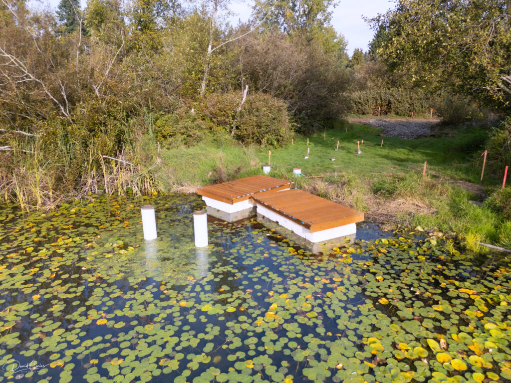 Lake Ballinger Park Viewing Platform and Trails Project, Sept. 28, 2025 ...