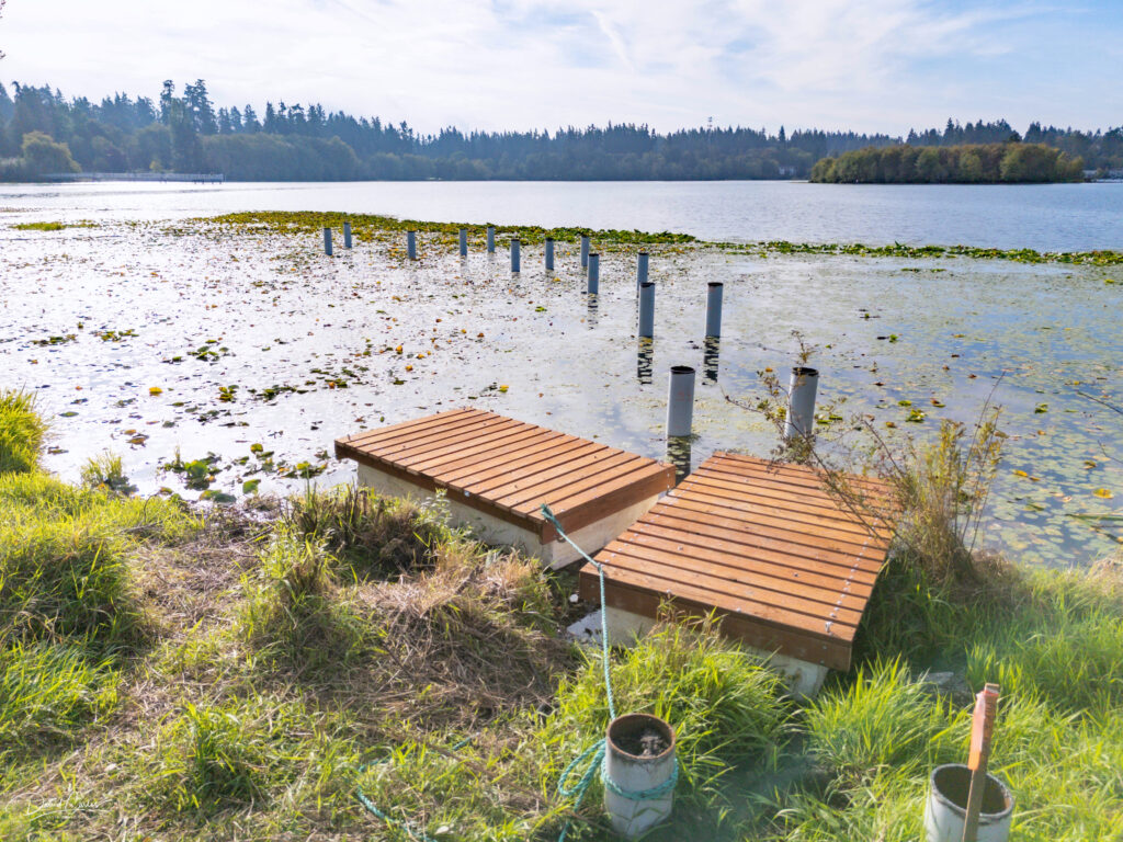 Lake Ballinger Park Viewing Platform and Trails Project, Sept. 28, 2025 ...