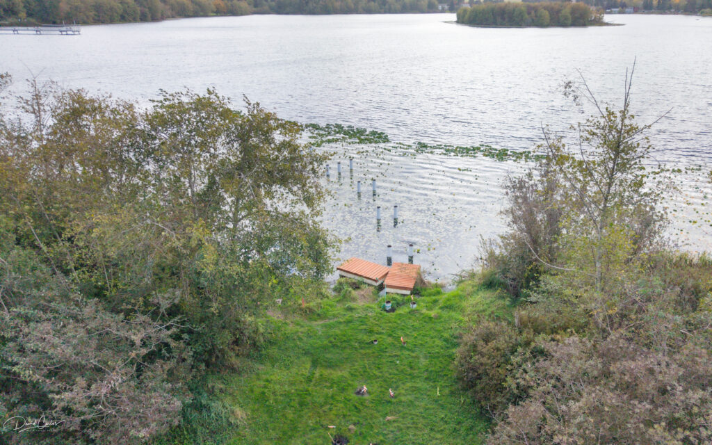 Lake Ballinger Park Viewing Platform and Trails Project, Oct. 19, 2025 ...