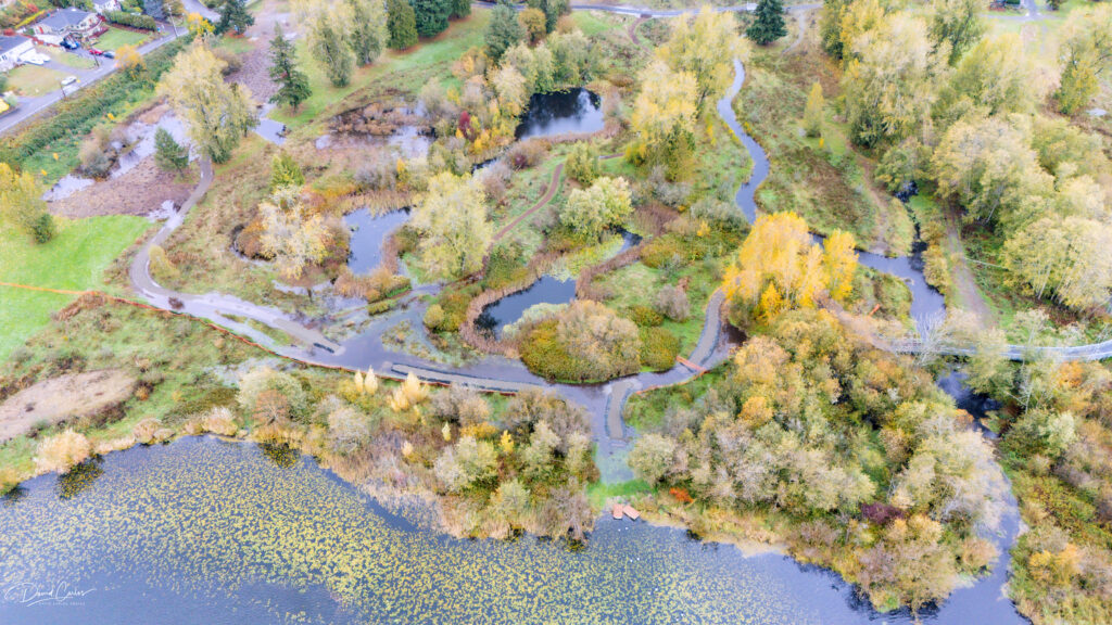 Lake Ballinger Park Viewing Platform and Trails Project, Oct. 26, 2025 ...