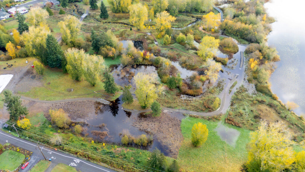 Lake Ballinger Park Viewing Platform and Trails Project, 11-2-25 ...