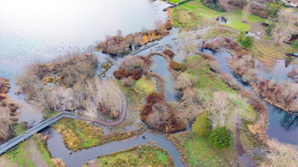 Lake Ballinger Park Viewing Platform and Trails Project, Dec. 21, 2025 ...