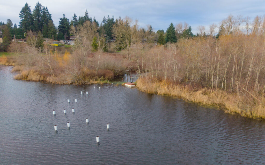 Lake Ballinger Park Viewing Platform and Trails Project, Dec. 21, 2025 ...