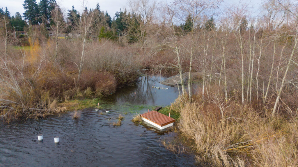 Lake Ballinger Park Viewing Platform and Trails Project, Dec. 21, 2025 ...