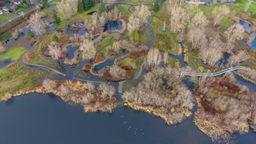 Lake Ballinger Park Viewing Platform and Trails Project, Dec. 21, 2025 ...