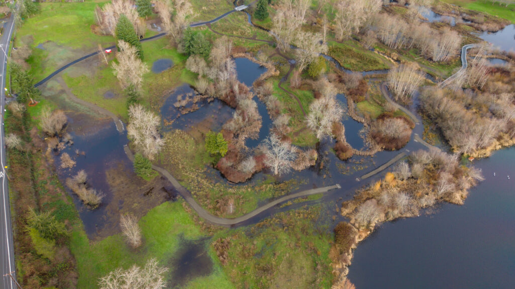 Lake Ballinger Park Viewing Platform and Trails Project, Dec. 21, 2025 ...