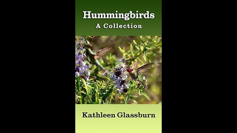 Recommended Reads: 'Hummingbirds' celebrates emotional richness of ...