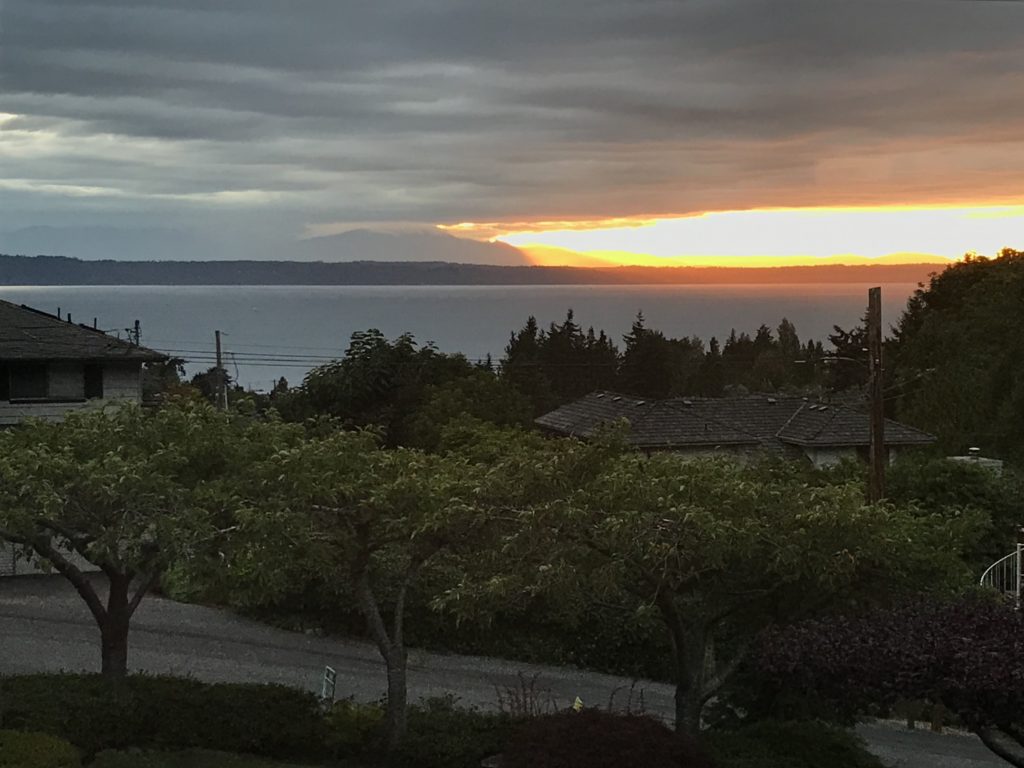 Edmonds scenic: Pure gold - My Edmonds News
