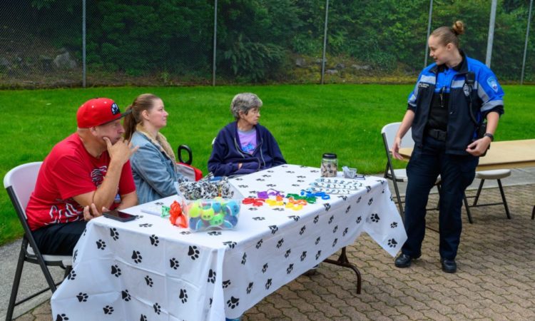 Dogs take a dip during Yost Pool's last swim of season - My Edmonds News