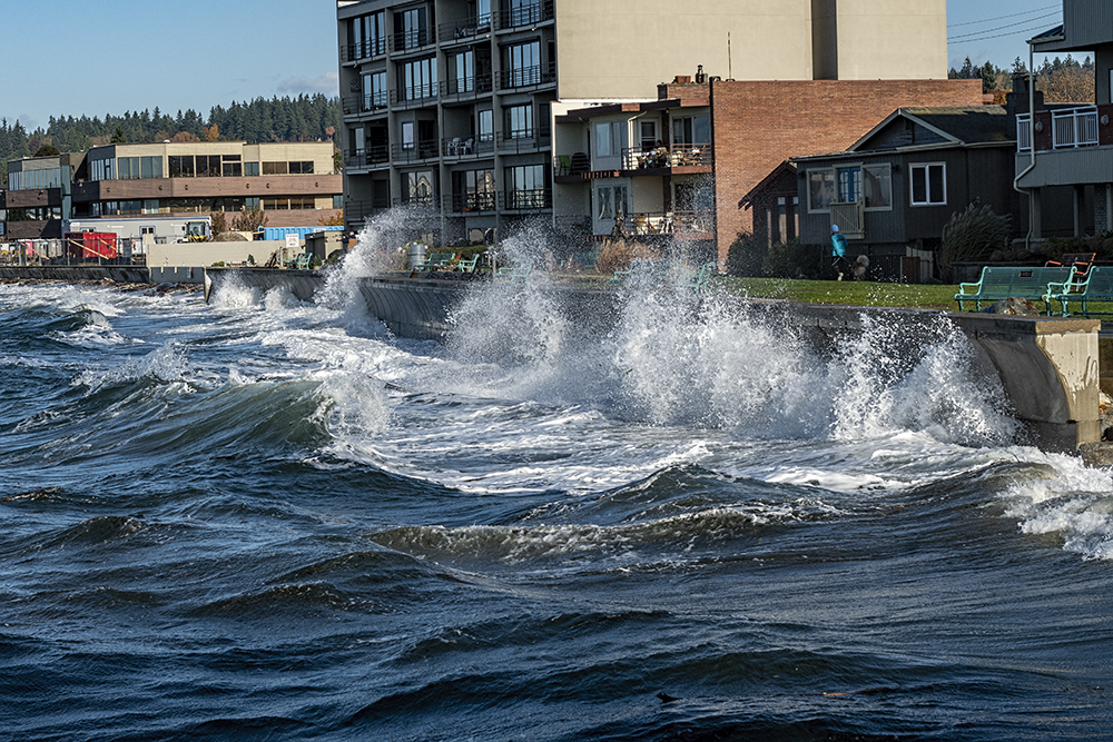 Scene in Edmonds: Surf's up Saturday - My Edmonds News