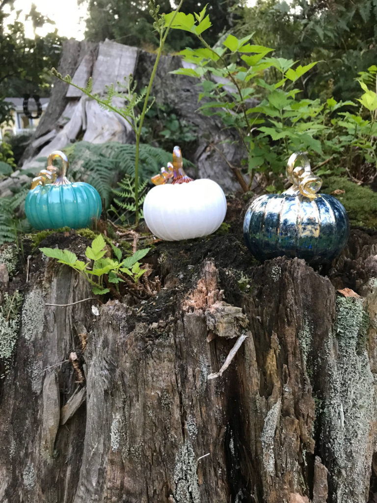 Coastal Community Bank sponsoring second annual Edmonds Pumpkin Quest ...