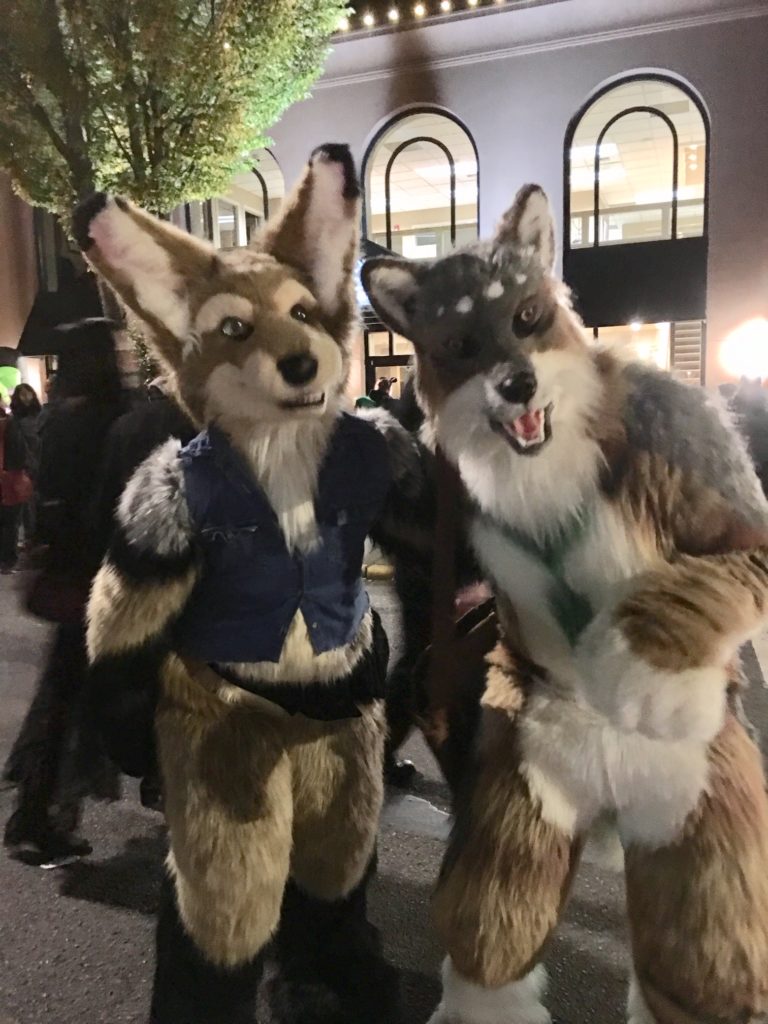 Scene in Edmonds: Furry friends - My Edmonds News