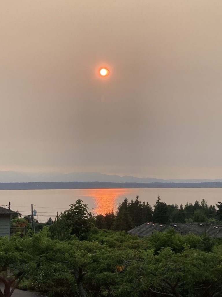 Edmonds scenic: A river of gold - My Edmonds News