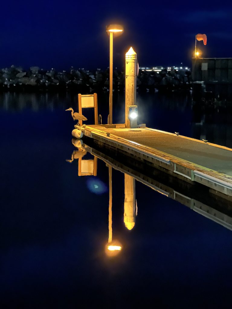 Scene in Edmonds: Night fishing - My Edmonds News