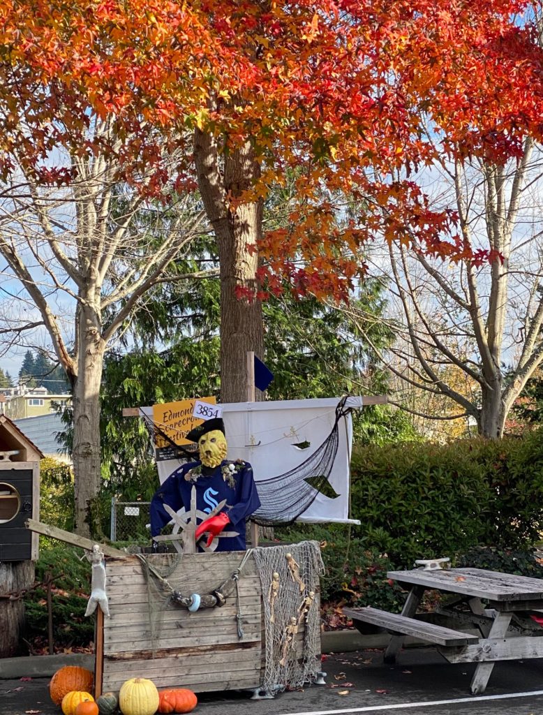 Scene in Edmonds: Fall foliage and scarecrow fun - My Edmonds News