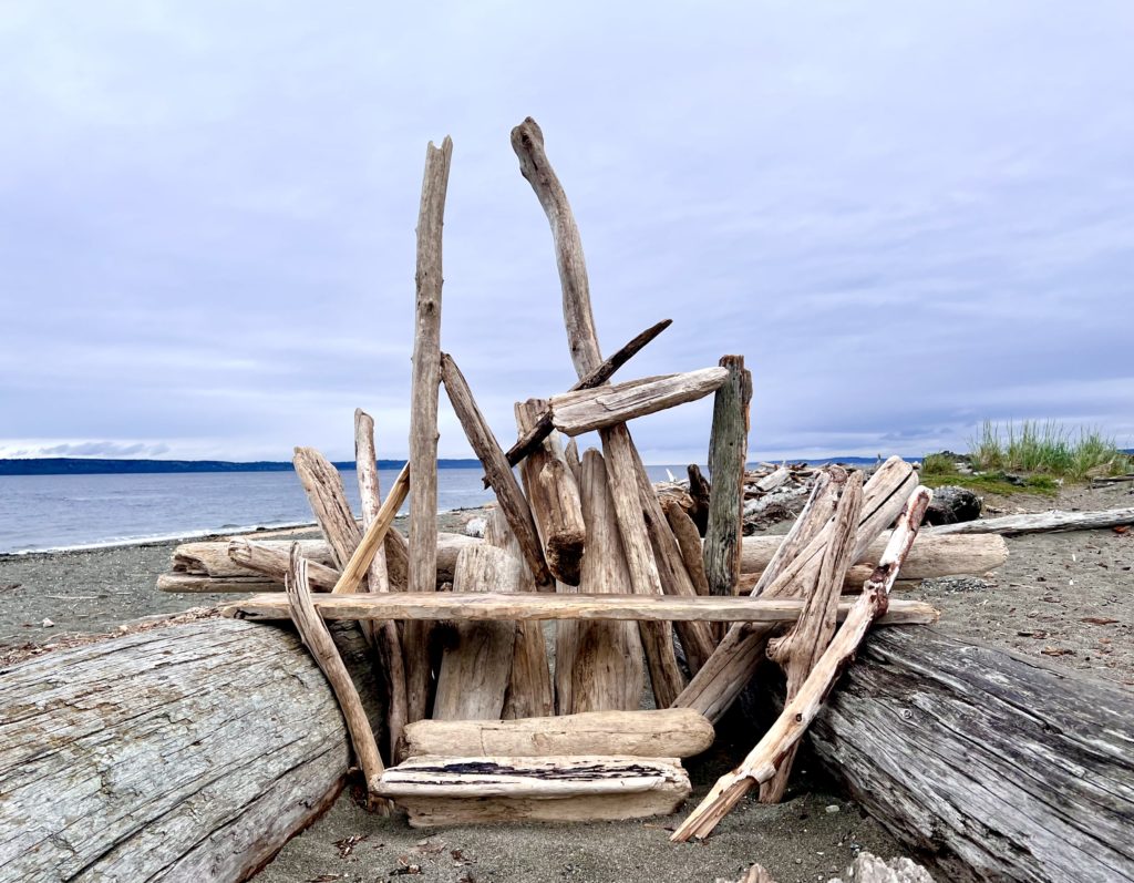 Scene in Edmonds: Driftwood creation - My Edmonds News