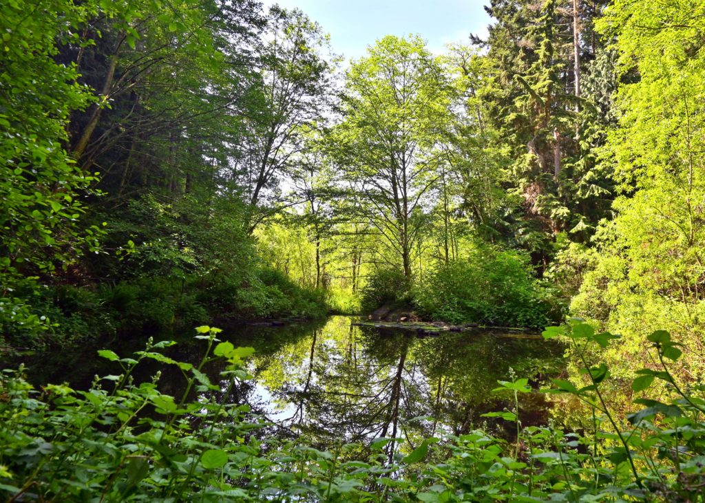 Can you name this place in Edmonds? - My Edmonds News