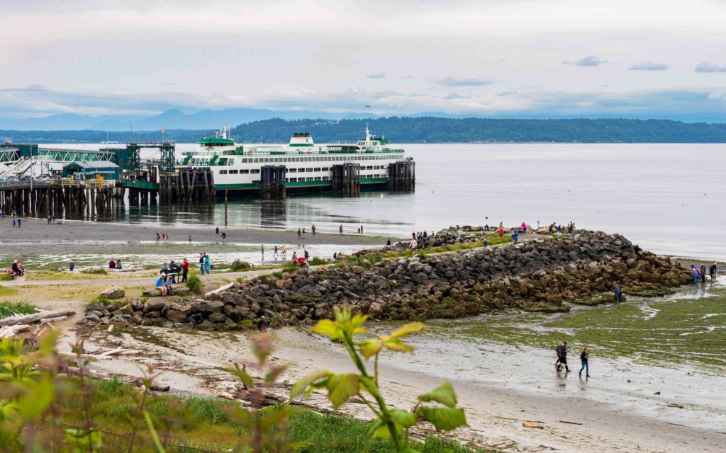 Scene in Edmonds: Enjoying the extraordinary low tide - My Edmonds News