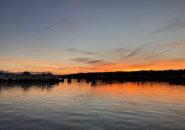 Home - My Edmonds News