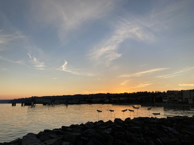 Edmonds scenic: Golden sunrise - My Edmonds News
