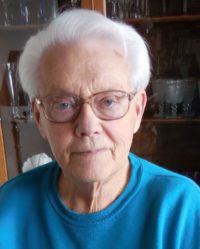 Kenneth Schaefer: Retired teacher and principal also flew light ...