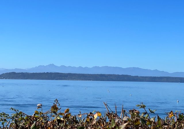 Scene in Edmonds: Mountains on display - My Edmonds News