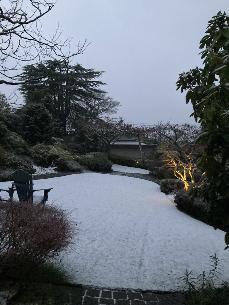 Scene in Edmonds: Sunday snow - My Edmonds News
