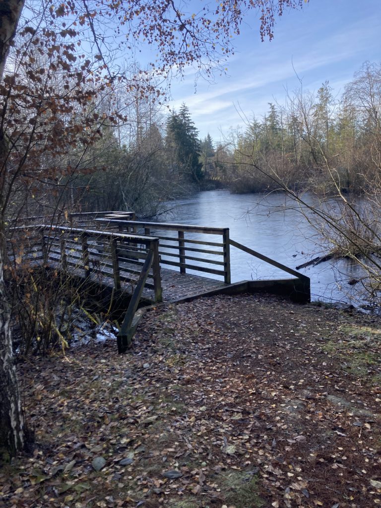 Scene in Edmonds: Lake view - My Edmonds News