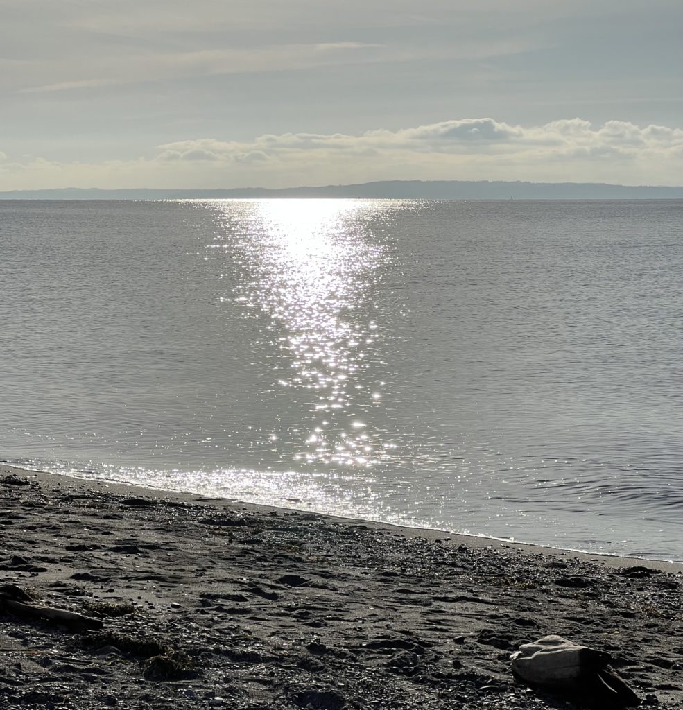 Scene in Edmonds: Hazy day of winter - My Edmonds News