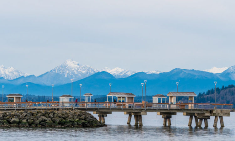 Scene in Edmonds: From beaches to the marsh - My Edmonds News