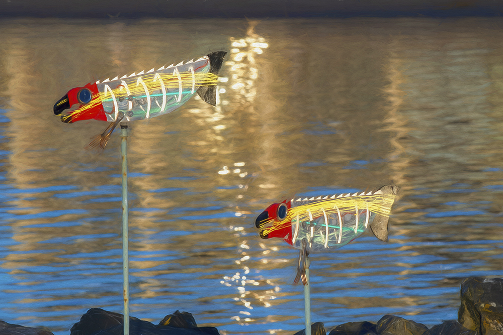 Edmonds scenic: Tuesday's setting sun - My Edmonds News