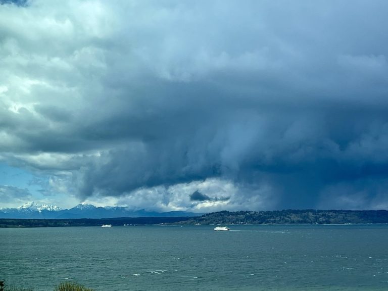 Scene in Edmonds: Wild weather day - My Edmonds News
