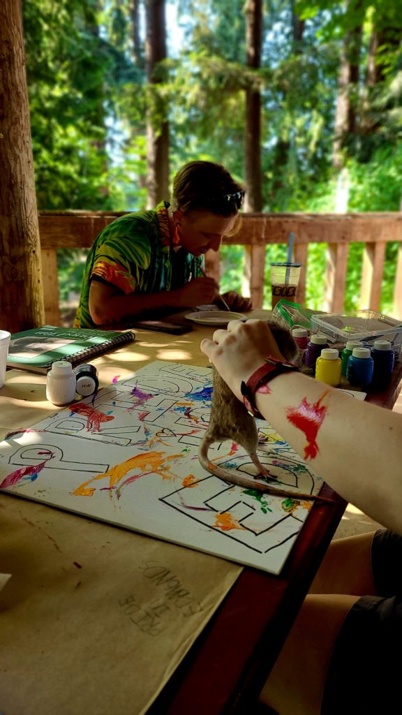 Rat Paint 2 - My Edmonds News