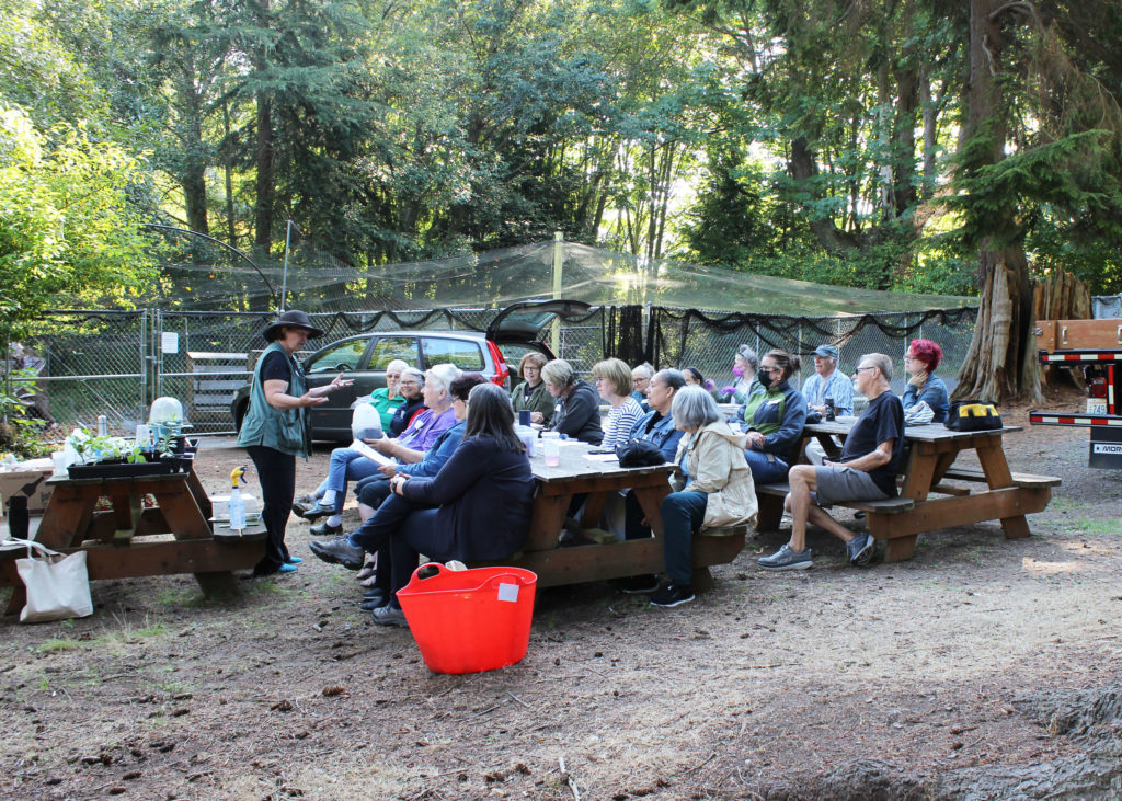 Scene in Edmonds: Around town Saturday - My Edmonds News