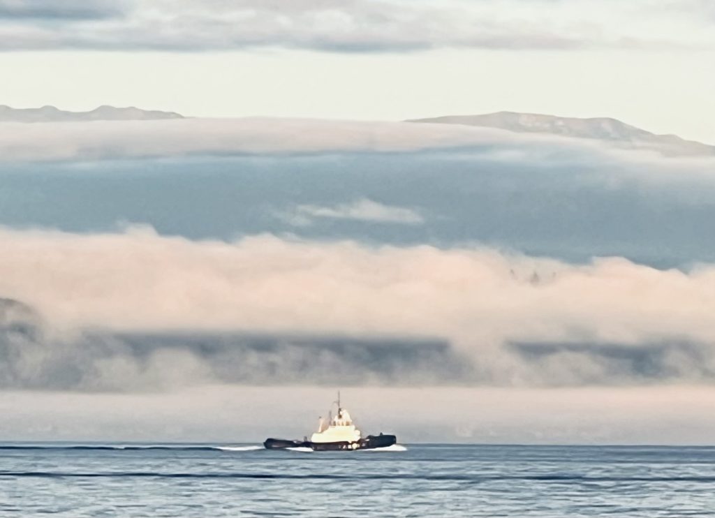 Scene in Edmonds: Misty Thursday - My Edmonds News