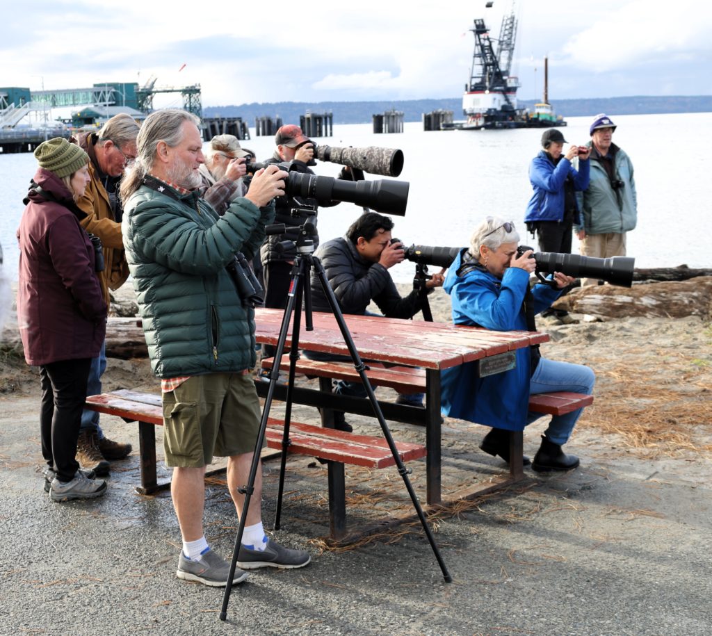 Scene in Edmonds: A closer look - My Edmonds News