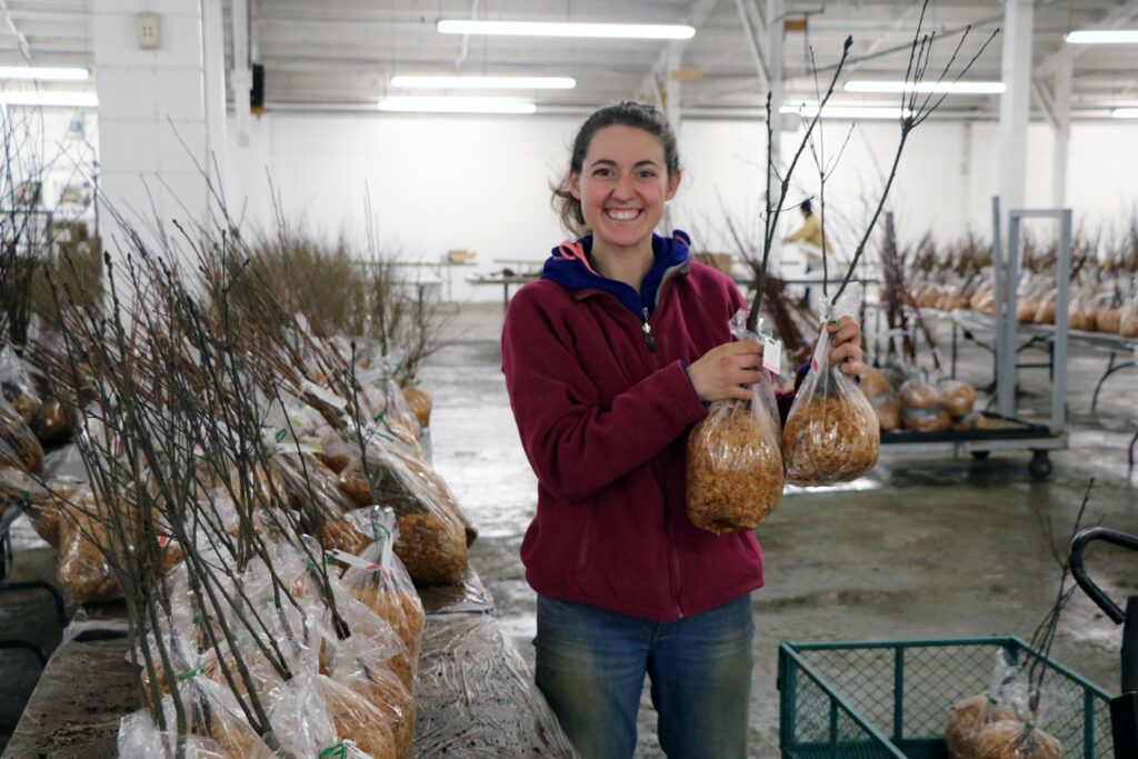 Native plants at great prices at Snohomish Conservation District's ...