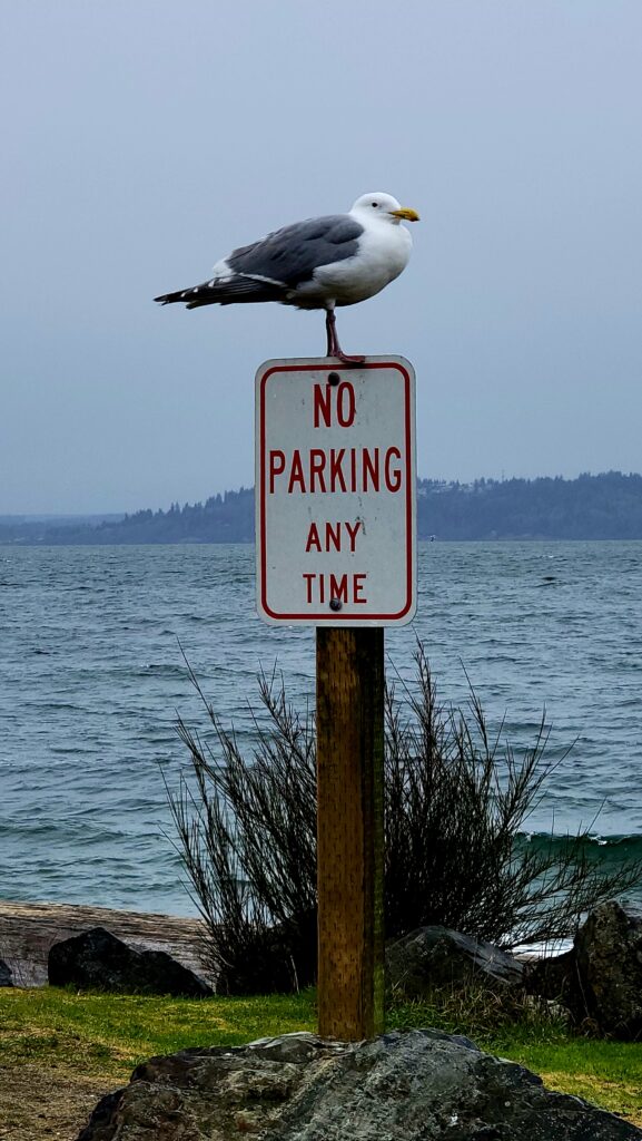 Scene in Edmonds: Around town Monday - My Edmonds News