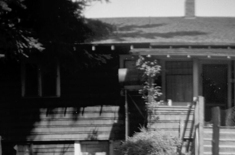 In Days Gone By: 'Big Red' and the Lewis and Wilson family legacy - My ...